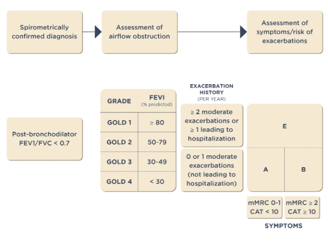GOLD Treatment Guidelines for COPD│Campus Sanofi